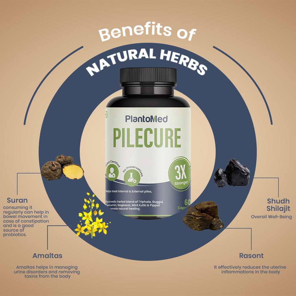 PLANTOMED PILECURE – Plantomed